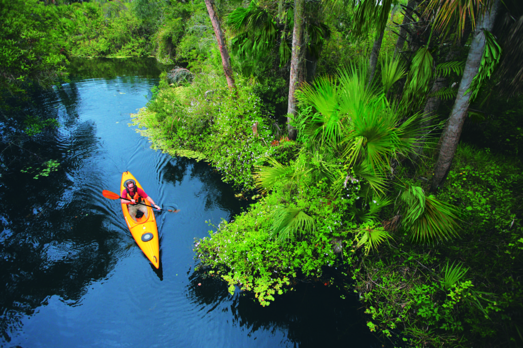 Kayaking and Paddling - Undiscovered Florida