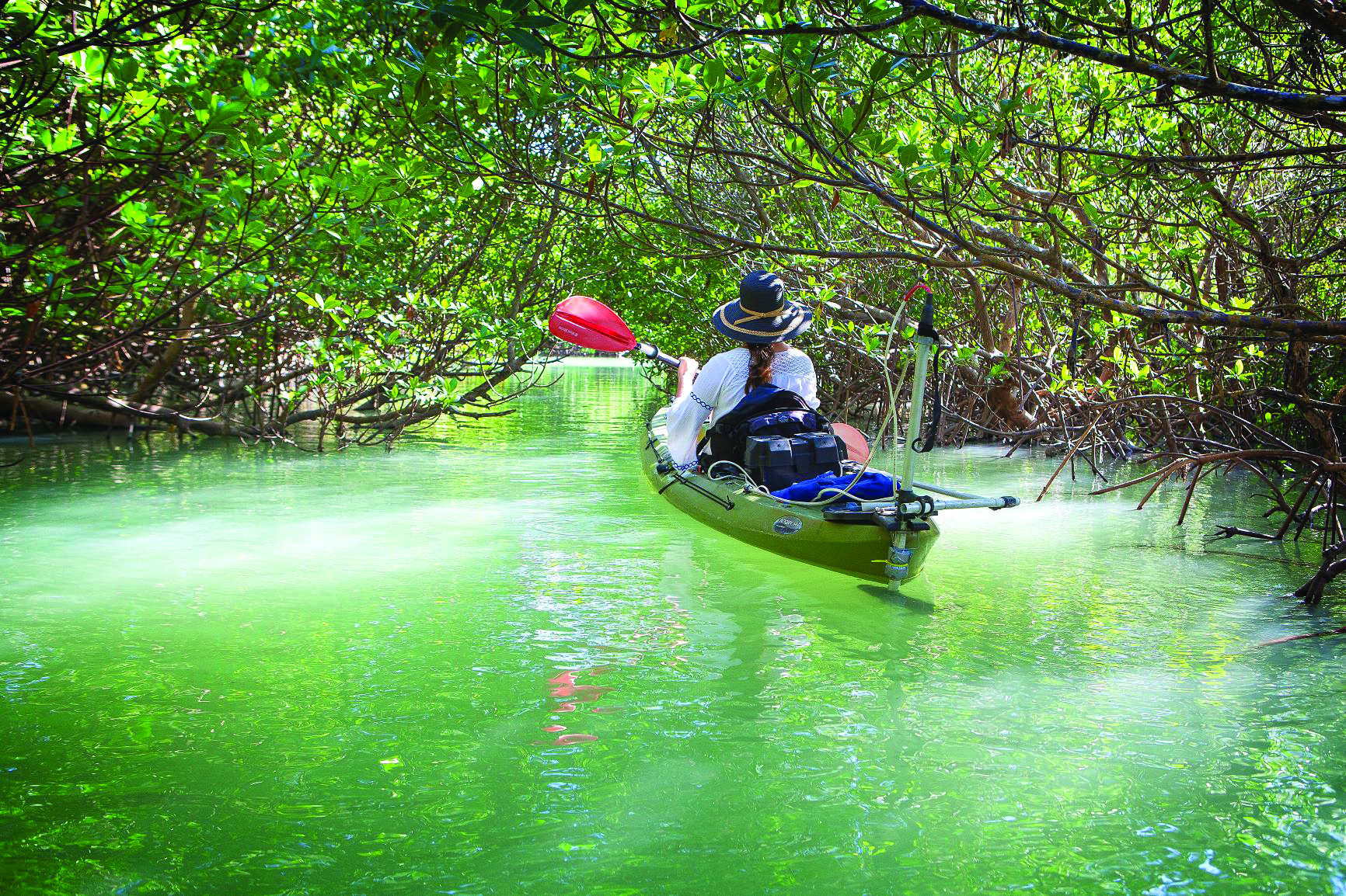 Kayaking Indian River Lagoon - Undiscovered Florida